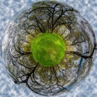 Water Conservation Devices and Rebates Available from Cal Water | EEECo ...